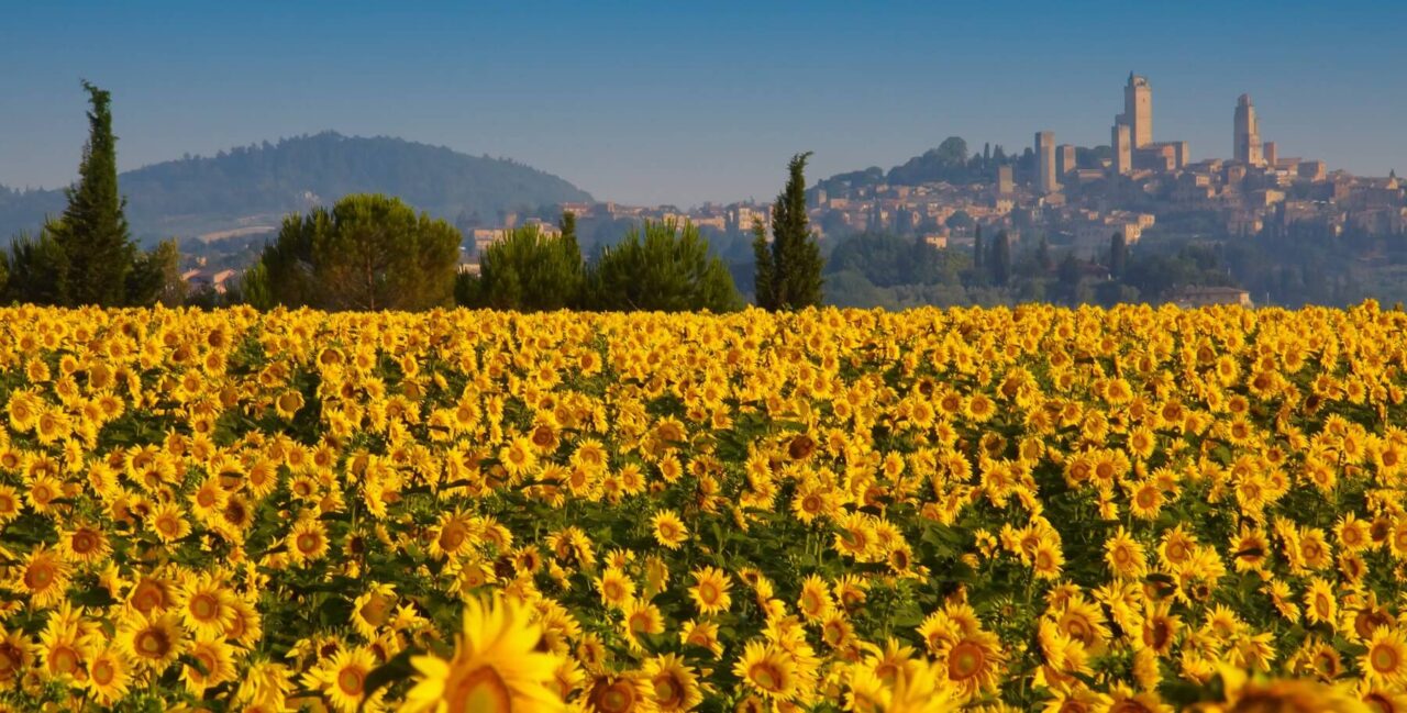 Tuscany in Spring - A Comprehensive Guide for a Memorable Trip