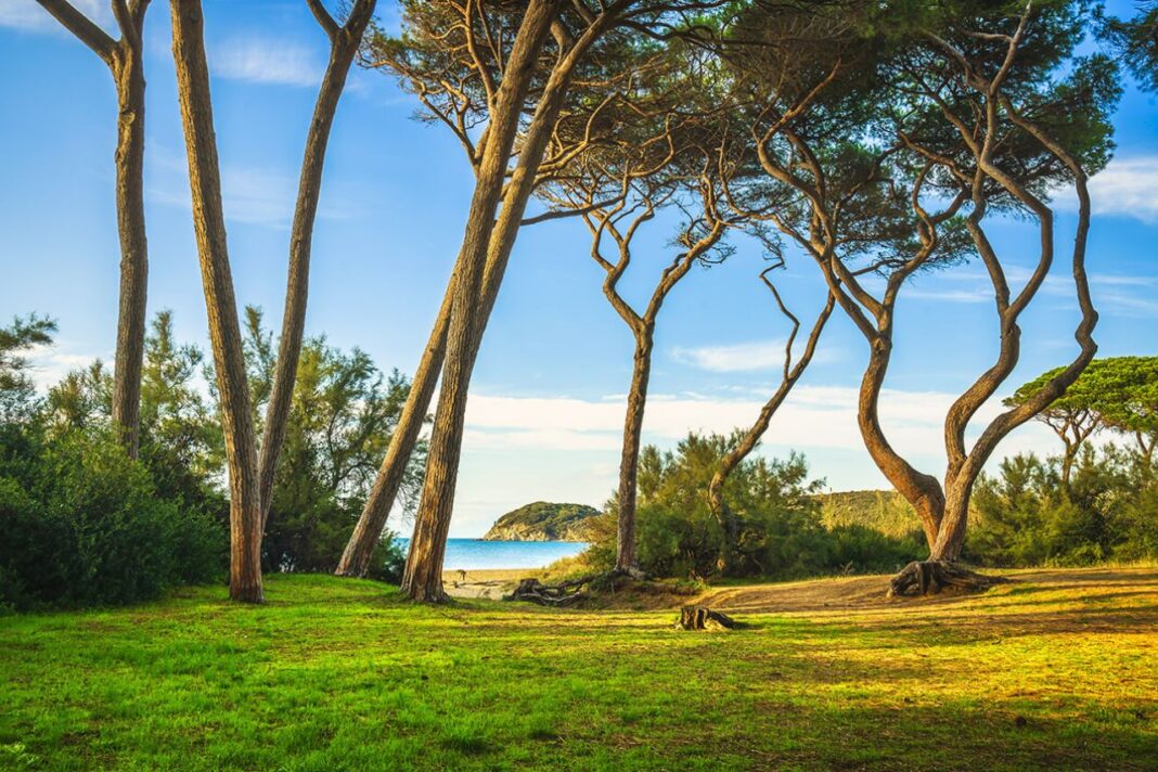 The Best Beaches in Tuscany - 12 Enchanting Locations
