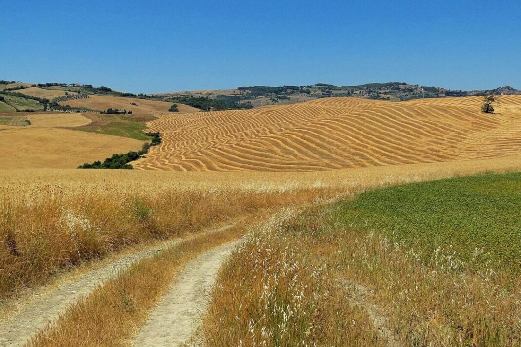 Val d’Orcia – Valley of Castles, Hot Springs, and Vineyards