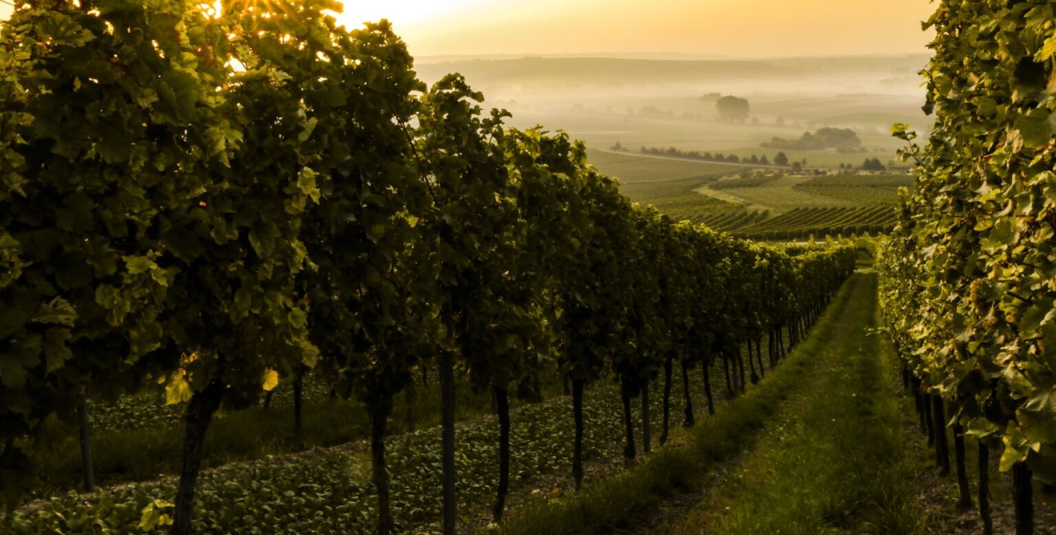 Tuscany in October - 10 Things to Do in the Autumn Season